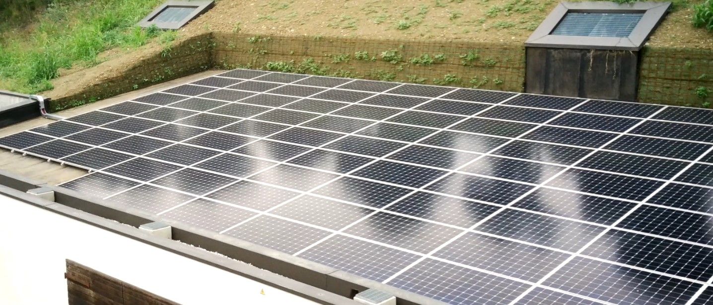 Diesel Farm - Brave Wine | Sustech